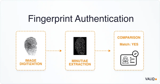 10 Biometric Authentication Methods in Banking [Guide]